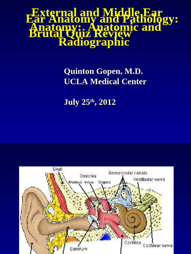 7-25-12 Gopen Ear Anatomy 0 | PDF | Hearing Loss | Otorhinolaryngology