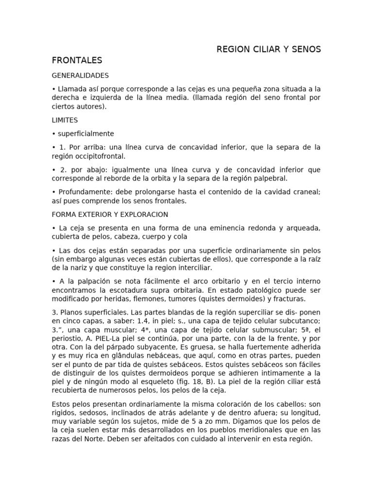 Region Ciliar y Senos Frontales | PDF | Fluido cerebroespinal | Sistema ...