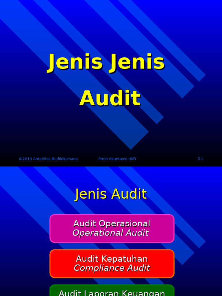Jenis Jenis Audit | PDF