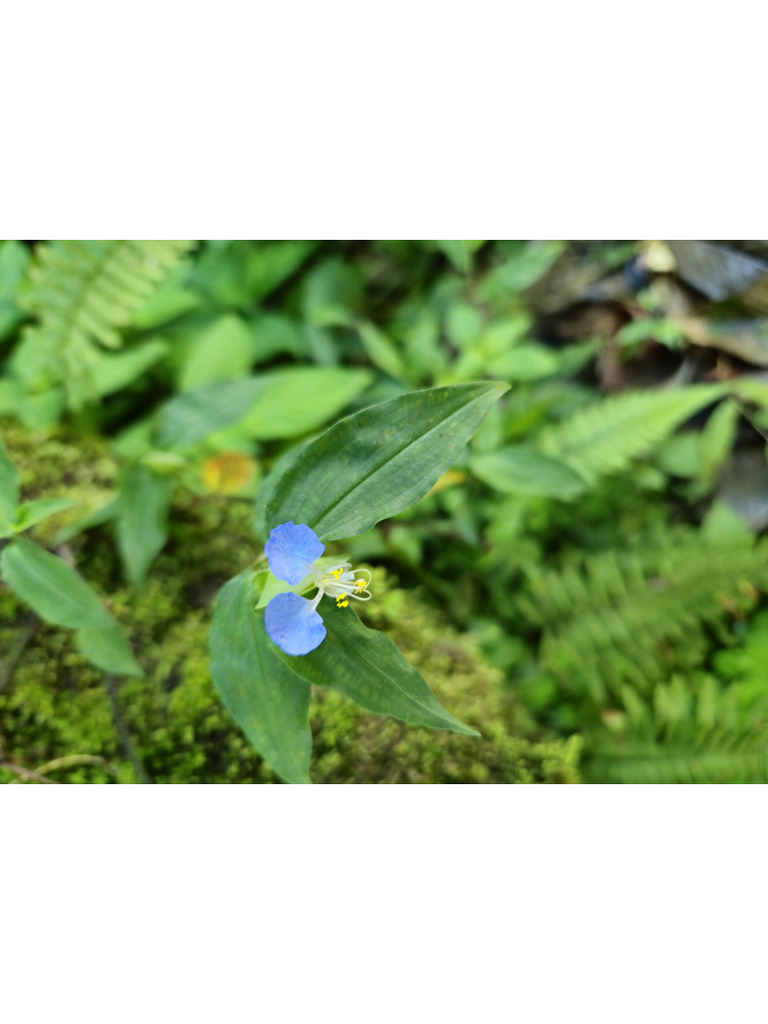 20240908_100110 | PDF