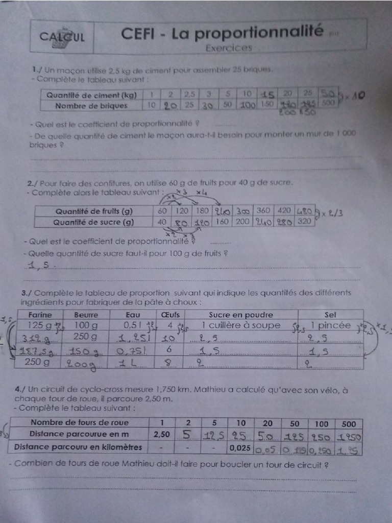 Exercice Proportionnalité | PDF