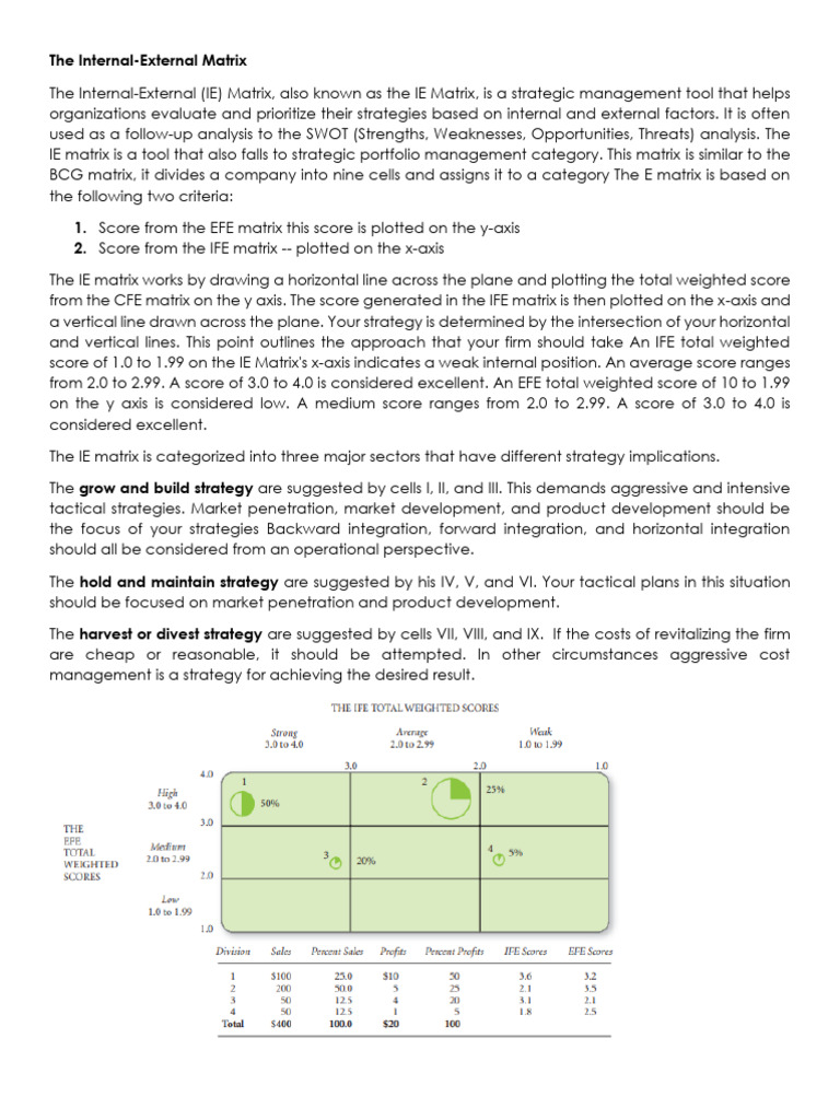 Internal External Matrix | PDF