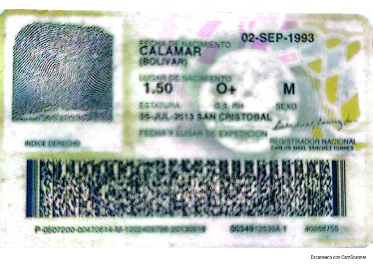 cedula de atra de Robinson | PDF