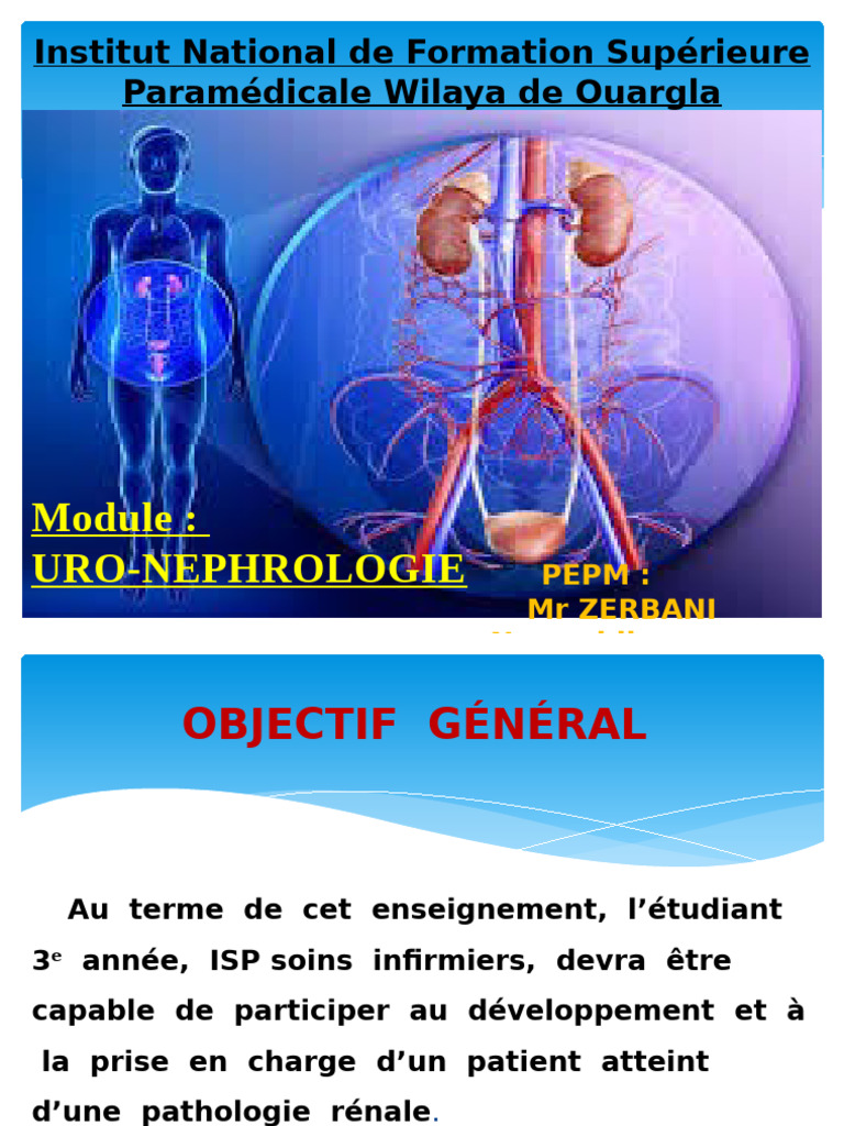 Cours Uro Néphro | PDF | Rein | Appareil urinaire