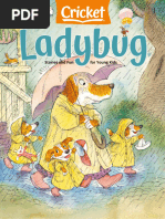 6706 | PDF | Leisure | Nature
