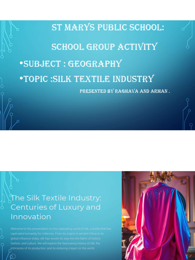Silk Textile Industry | PDF | Silk | Weaving
