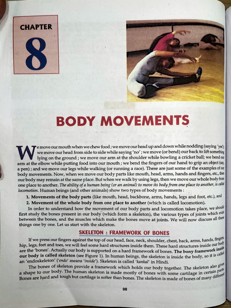 Body Movements Class 6th | PDF | Arm | Shoulder
