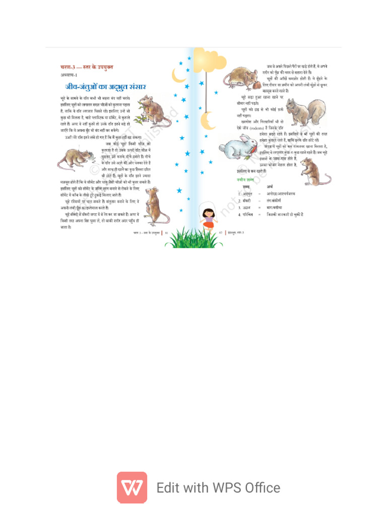 Document(1)-WPS Office | PDF