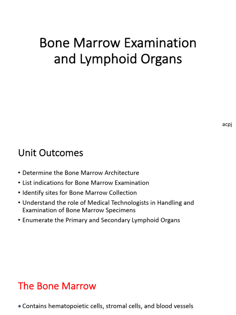 Bone Marrow Examination | PDF | Lymphatic System | Bone Marrow
