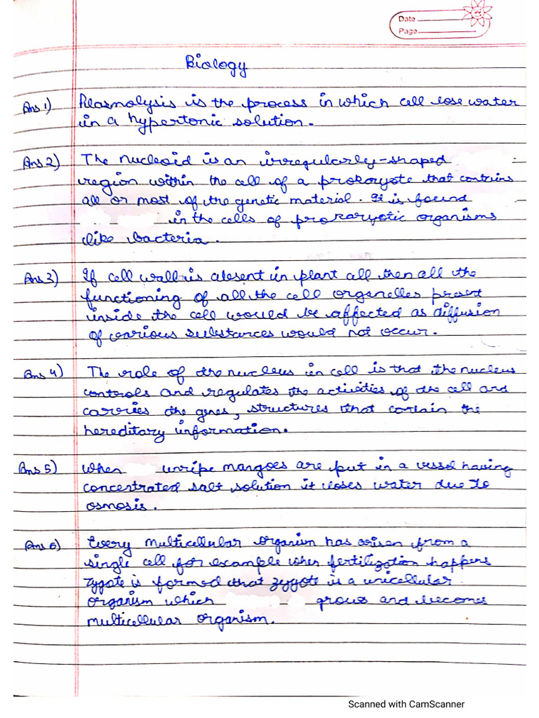 Arnav Mundepi Bio Worksheet 1 | PDF