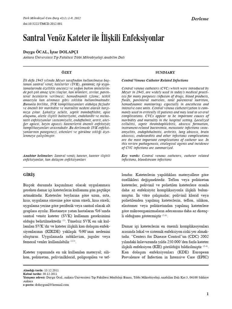 Svk Enfeksiyon 2 | PDF