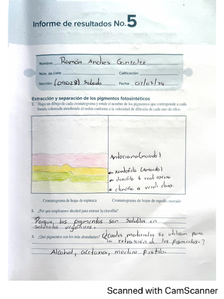 Informe 5 Ramón González | PDF