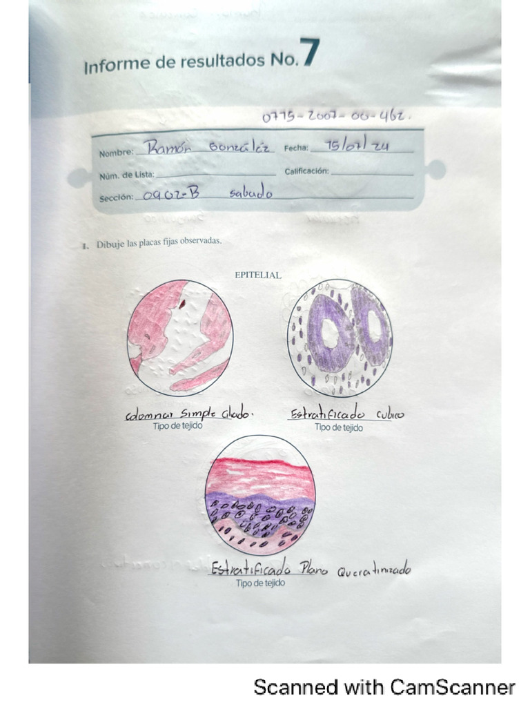 Informe #7 Ramón G | PDF