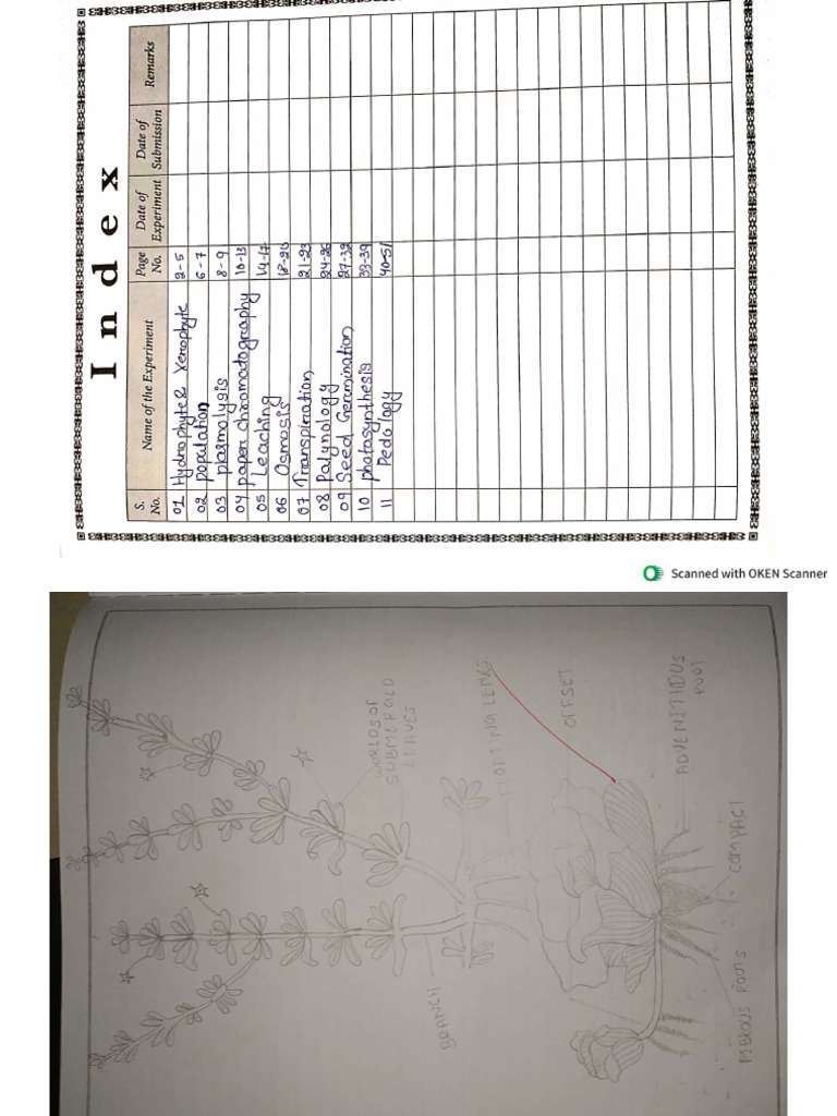 +2 2nd Year Botany Practical | PDF