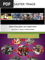 Manchester Triage System PDF | PDF | Emergency Department | Pain