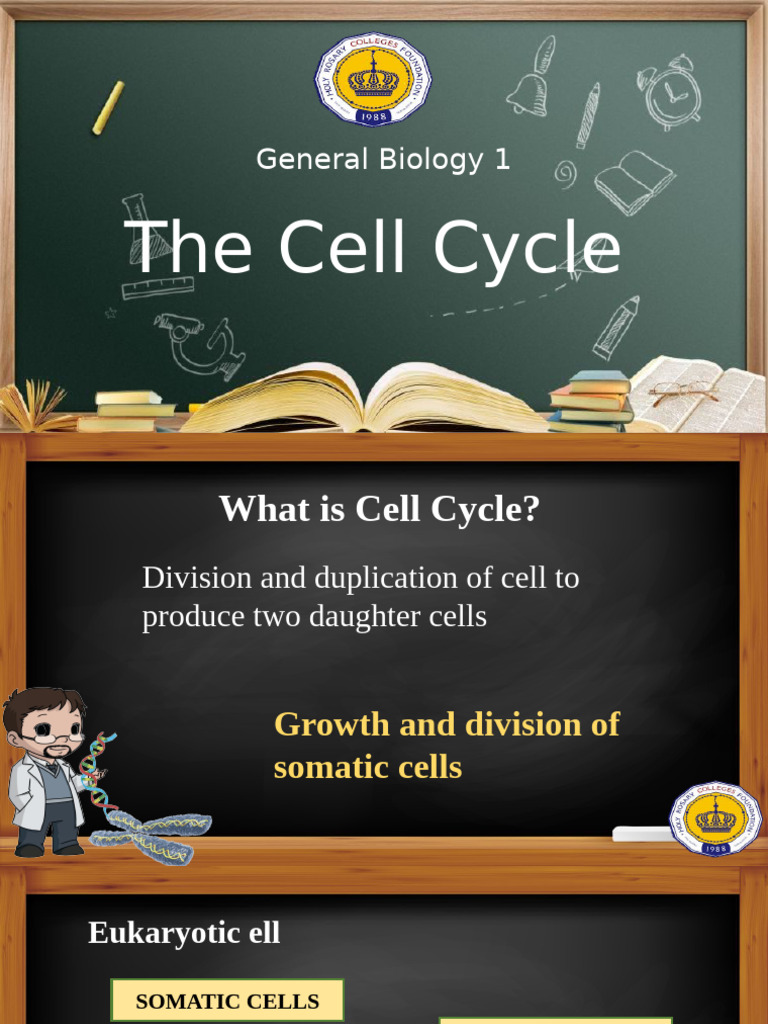 The Cell Cycle | PDF | Mitosis | Meiosis