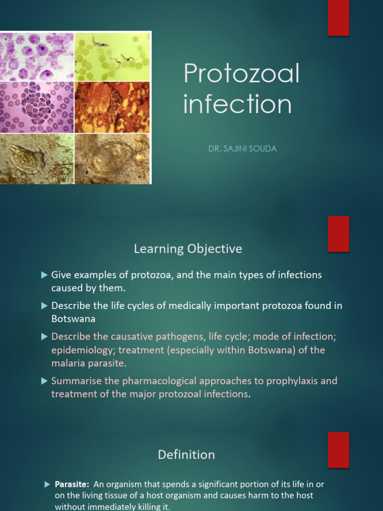 Protozoal Infection - SS | PDF | Microbiology | Medical Specialties