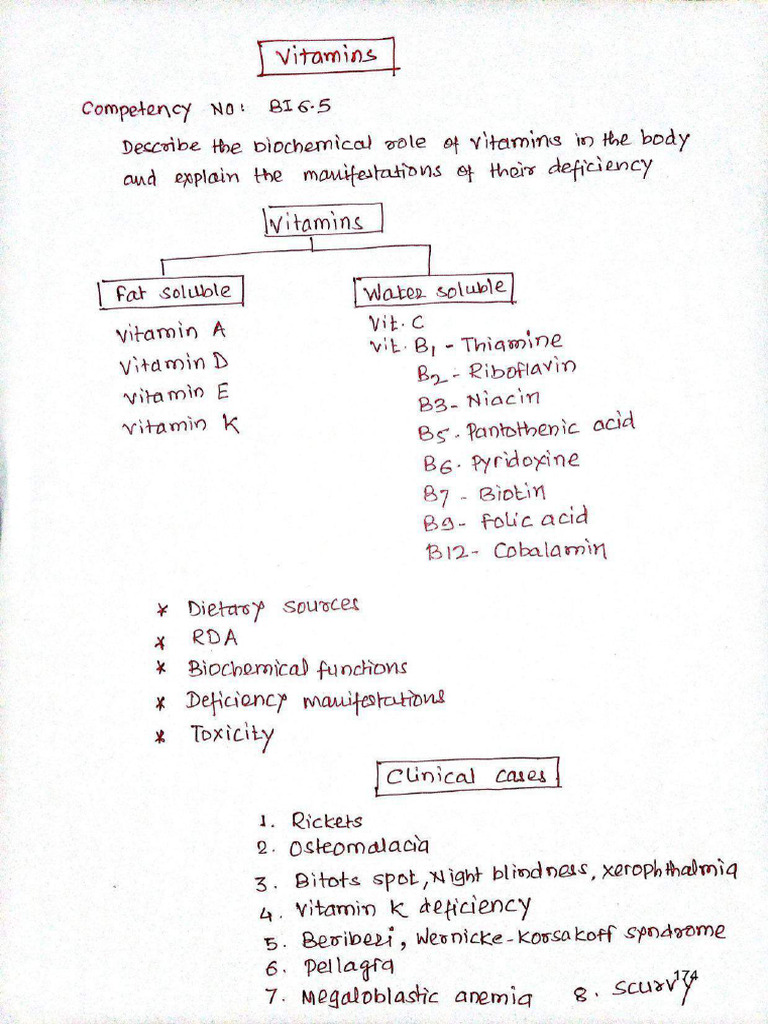 7 Vitamins | PDF