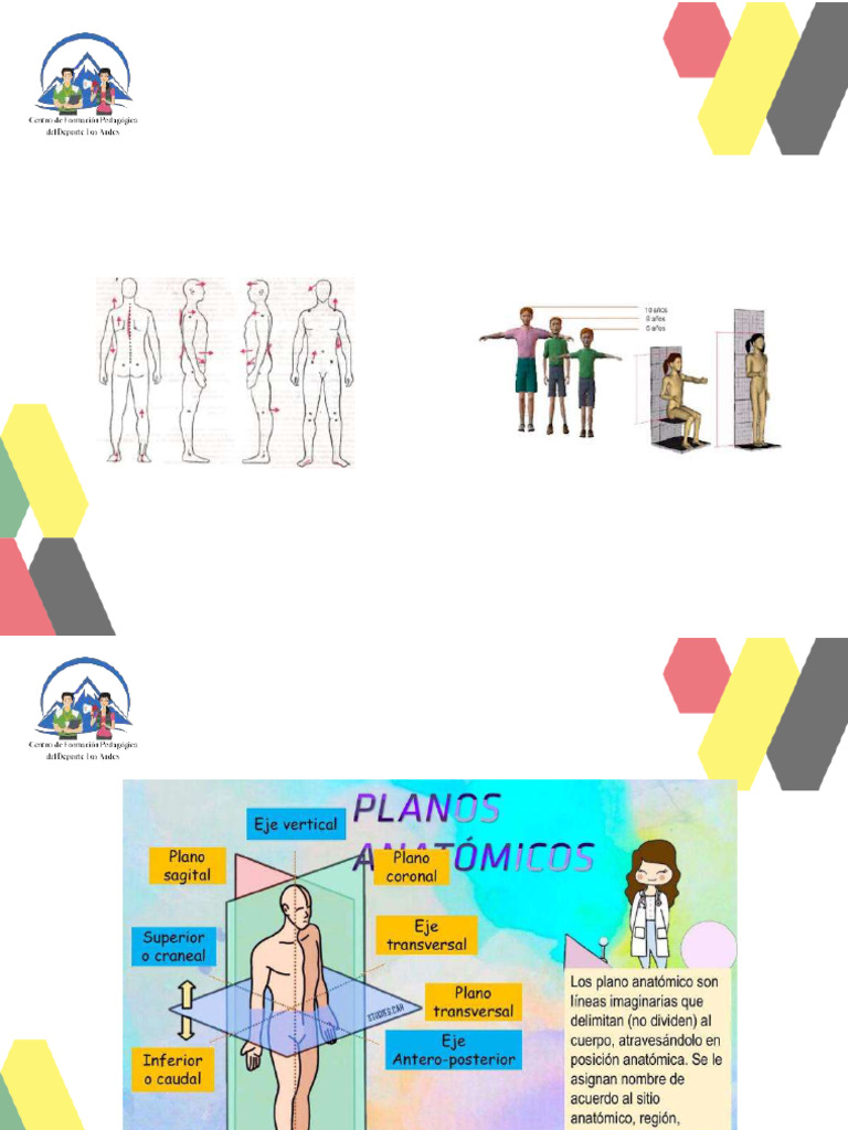 Mediciones Antropometricas | PDF