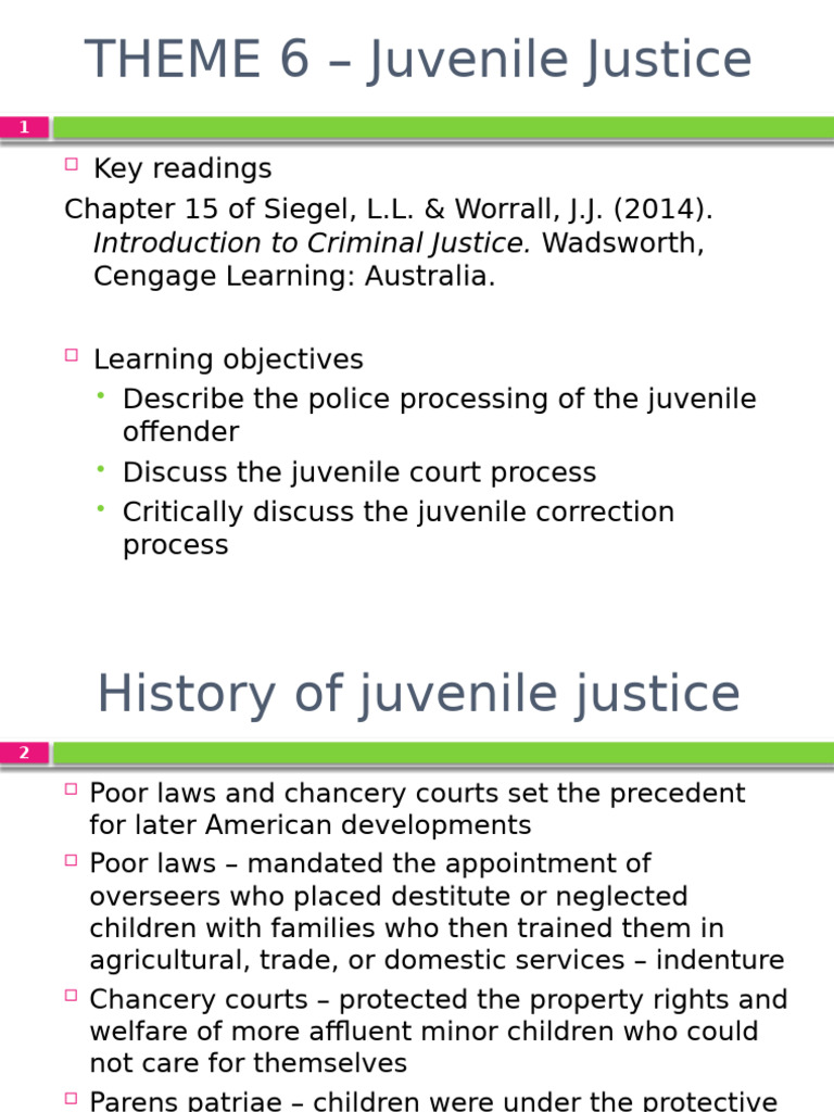 Juvenile Justice System Overview | PDF | Juvenile Delinquency ...