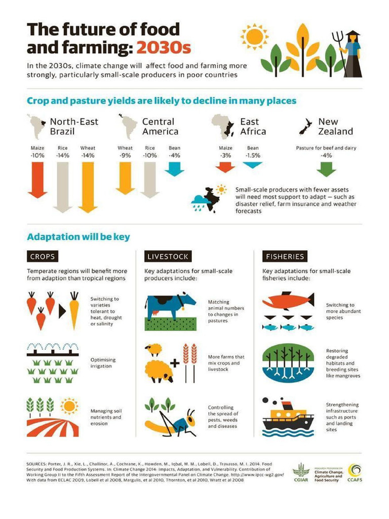 The Future of Food and Farming Infográfico | PDF