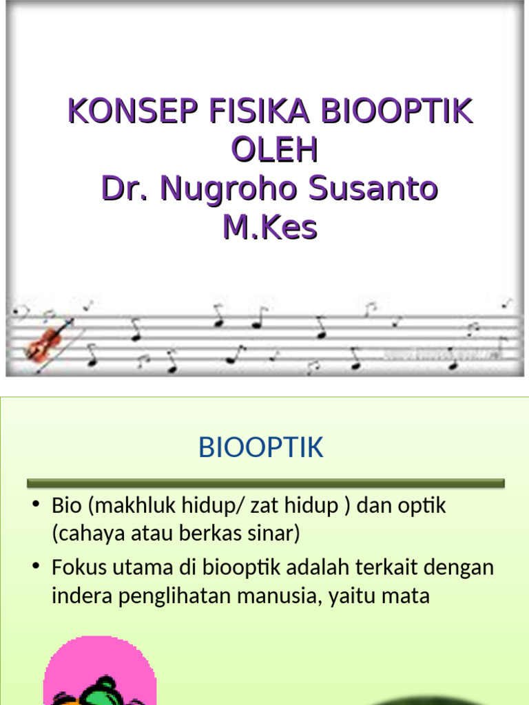 Konsep Fisika Biooptik Revisi | PDF