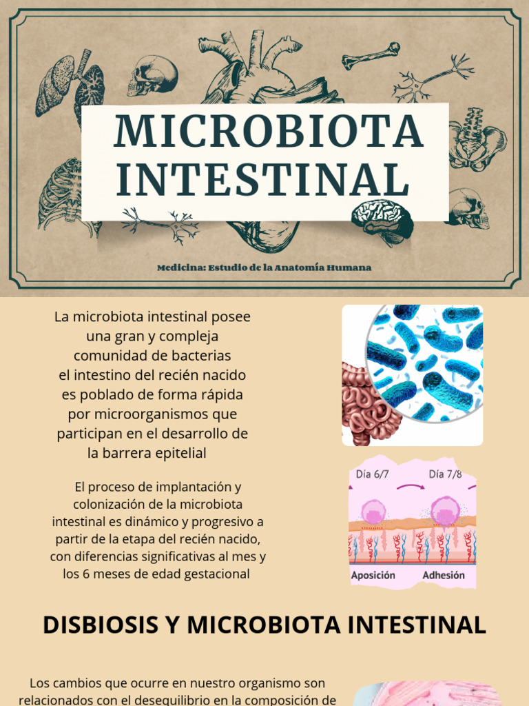 Factores que Afectan la Microbiota Intestinal | PDF