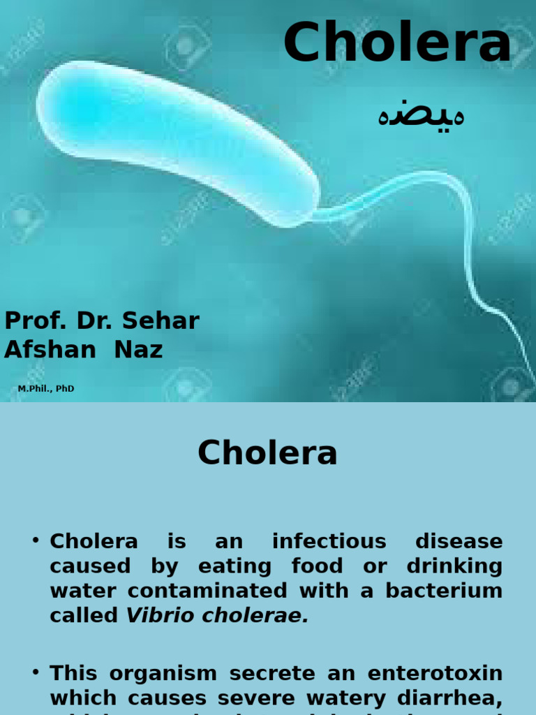 Cholera | PDF | Cholera | Lipopolysaccharide