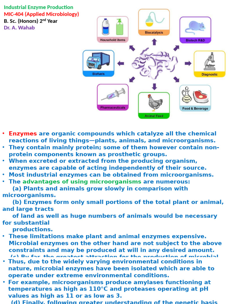 Industrial Enzyme Production Overview | PDF | Fructose | Glucose