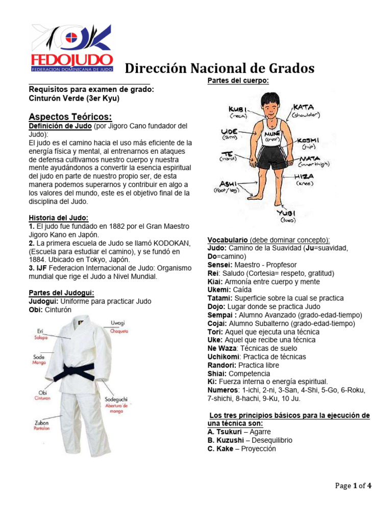 3er Kyu Verde Folleto Guia | PDF | Judo | Aferramiento