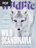 National Geographic | PDF | Geography | Digital Library