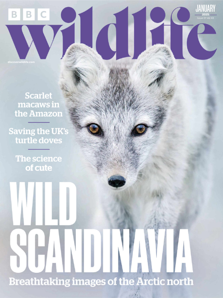 BBC Wildlife - January 2025 UK | PDF