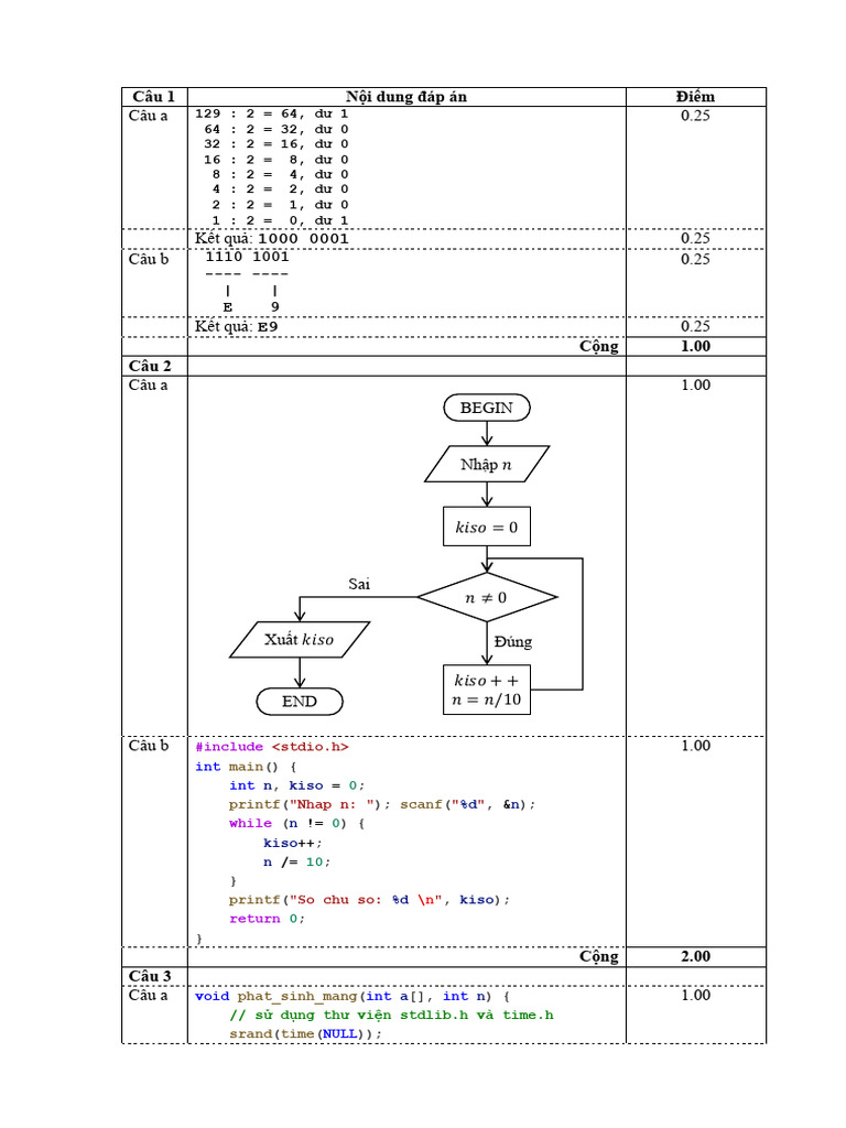 Dap An Pdf