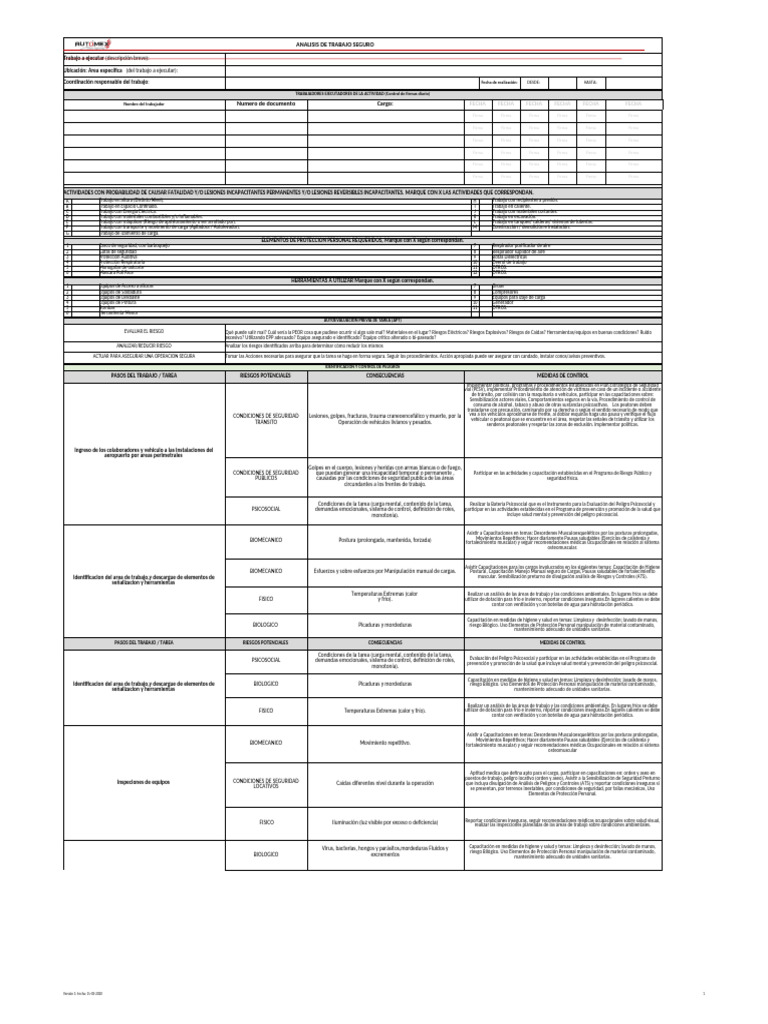 Formato de ATS CT1 | PDF | Higiene