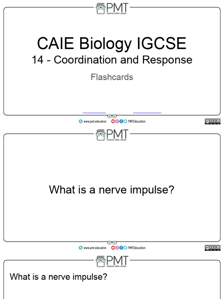 CAIE Biology IGCSE: Nervous System Flashcards | PDF | Eye | Nervous System