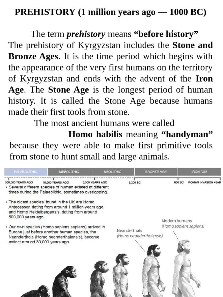 1.1 Prehistory | PDF | Stone Age | Human