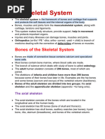 Skeletal System 206 Bones Comprehensive List | PDF | Skull ...