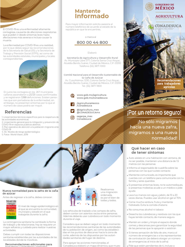 2 Tr Ptico Jornaleros 7 de Julio BC | PDF