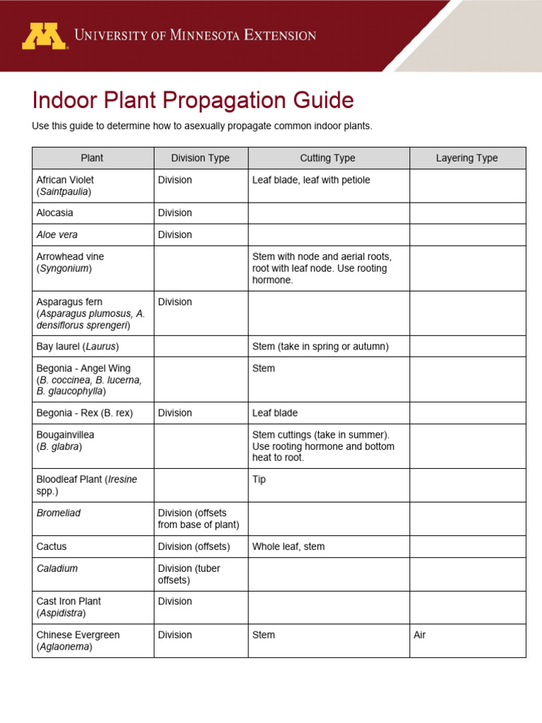 Indoor Plant Propagation Guide | PDF | Houseplant | Plant Stem