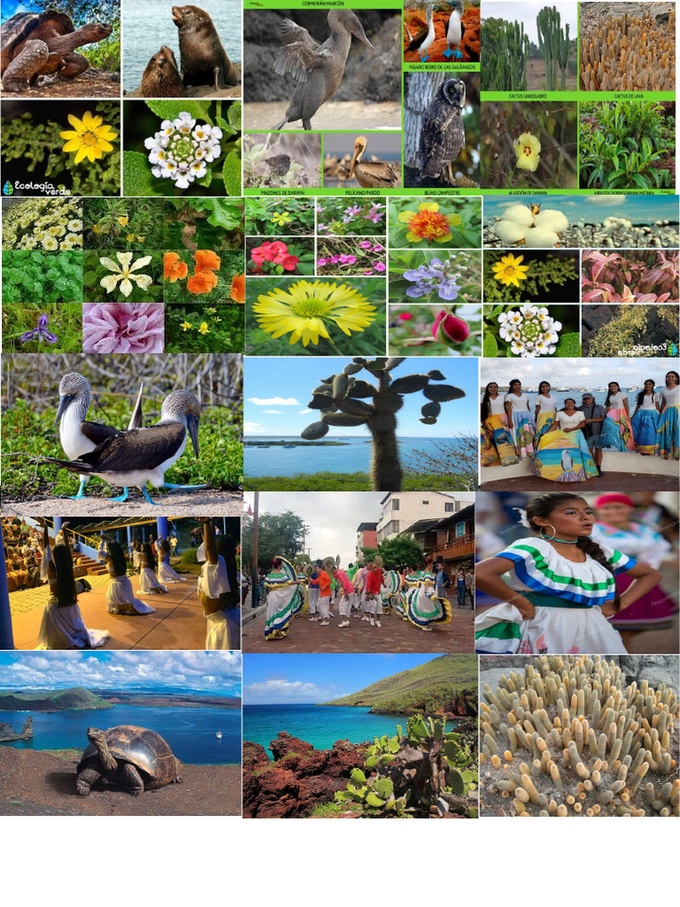 Documento1 (2) | PDF