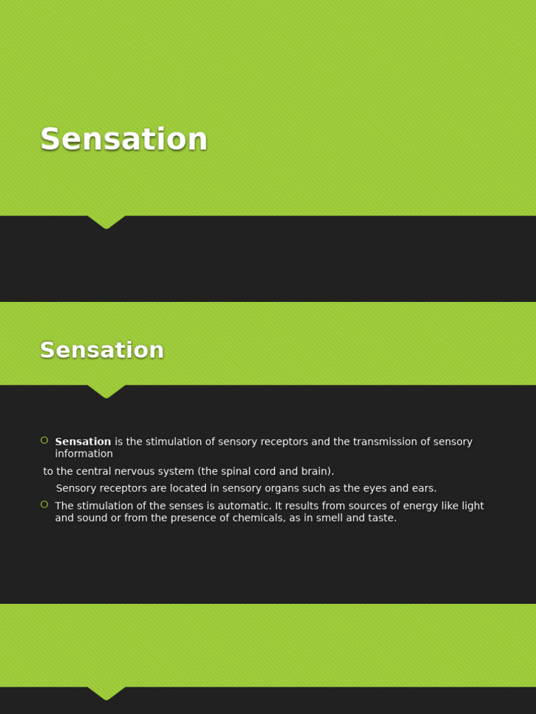 Understanding Sensation and Perception | PDF