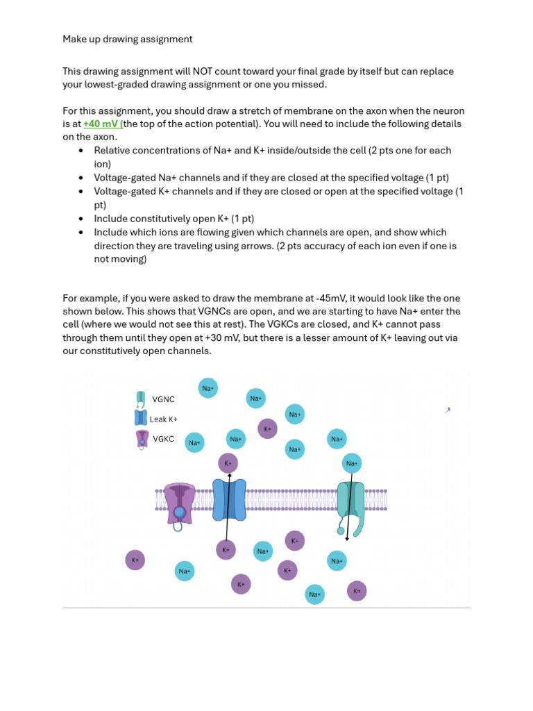 Replacement Drawing Assignment | PDF