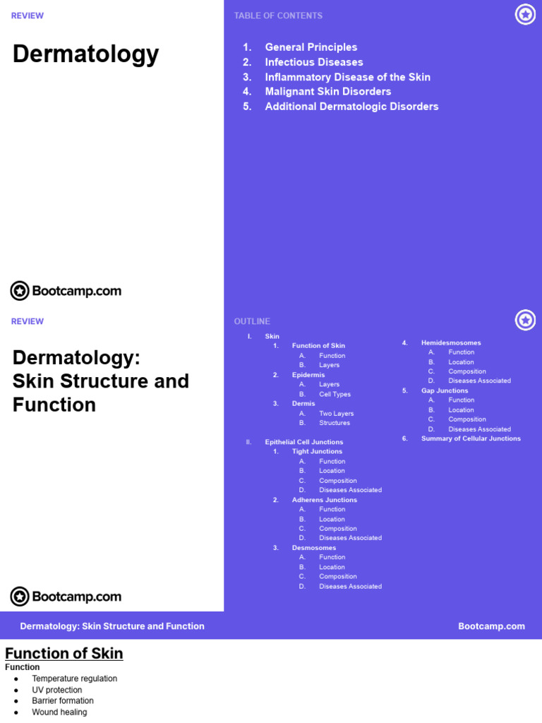 Dermatology | PDF | Epidermis | Skin
