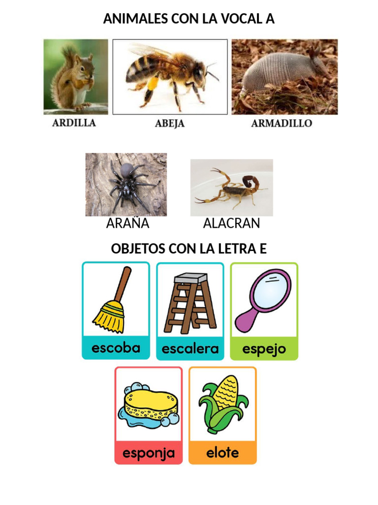 Palabras y Animales con la Vocal A | PDF