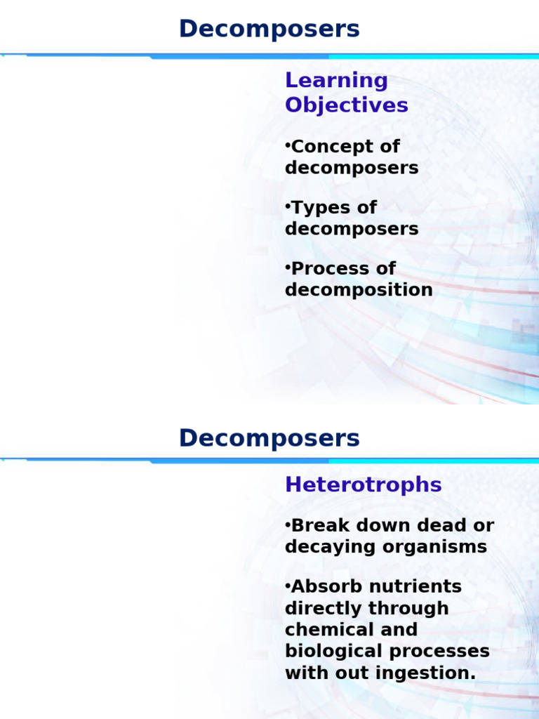 Lecture 5 - Decomposers | PDF
