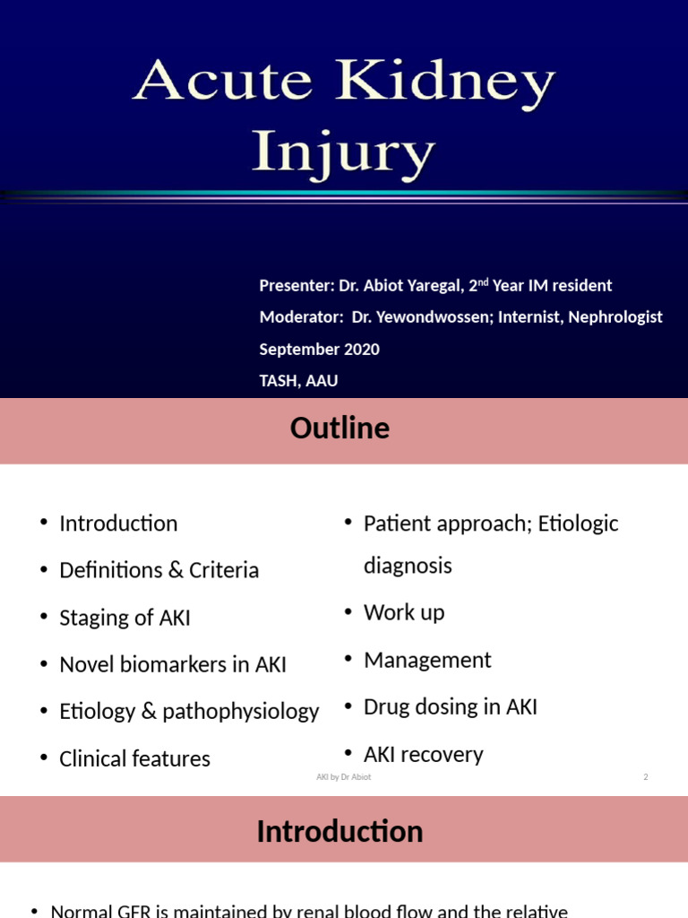 Acute Kidney Injury Overview | PDF | Kidney | Creatinine
