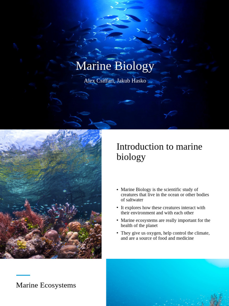 Marine Biology | PDF | Marine Biology | Oceans