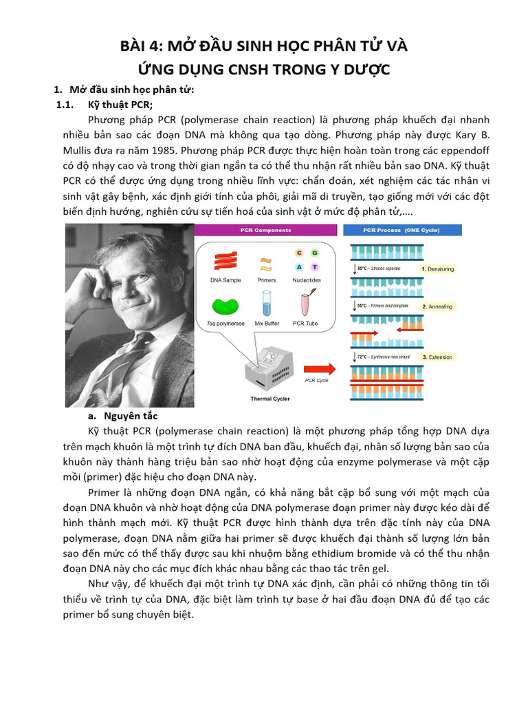Bai 4 M Du Sinh HC Phan T Va NG DN | PDF