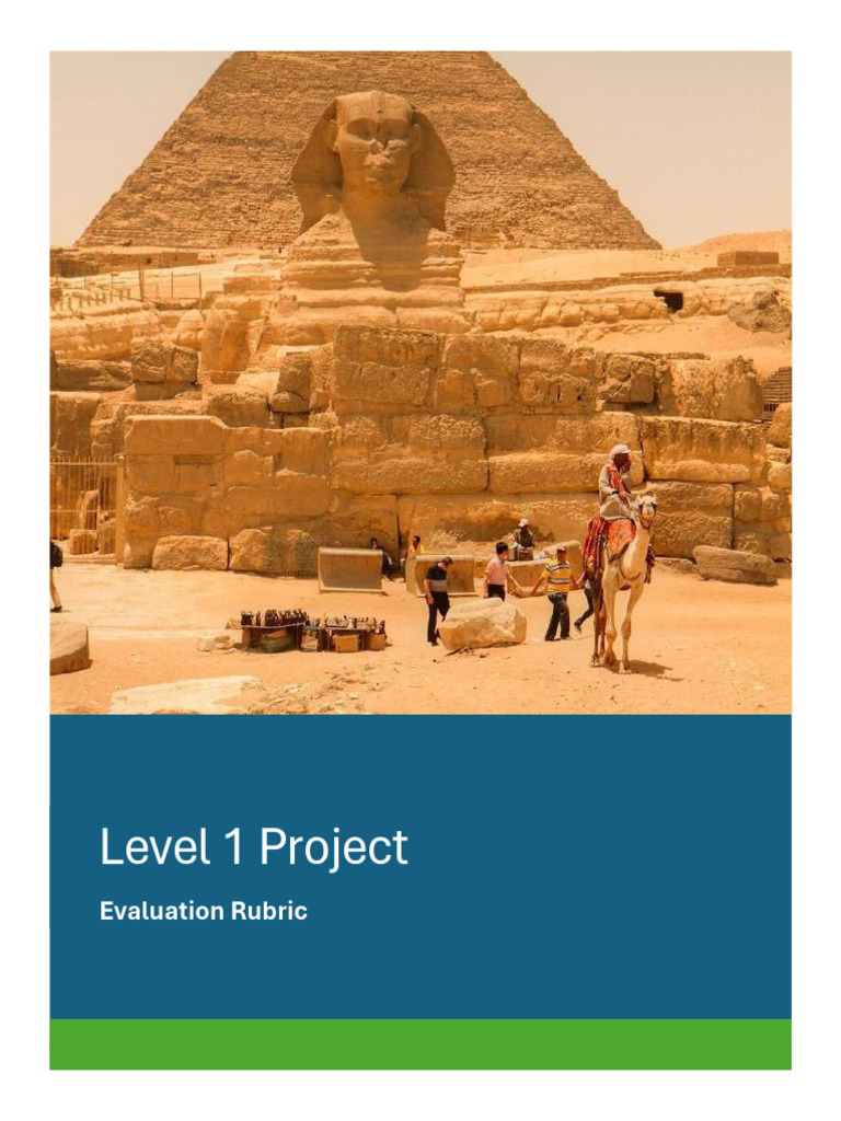 DECI - Level 1 - Project Rubric - 240909 - 233327 | PDF | Usability | Mobile App
