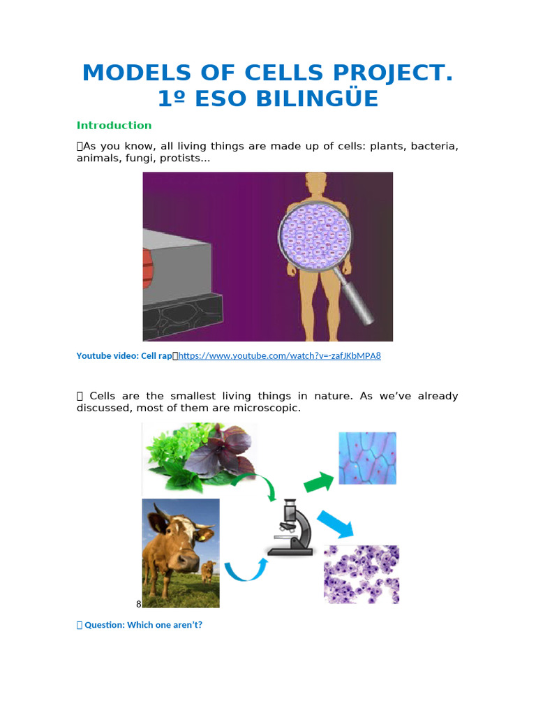 Cell Model Project Worksheet | PDF | Cell (Biology) | Eukaryotes